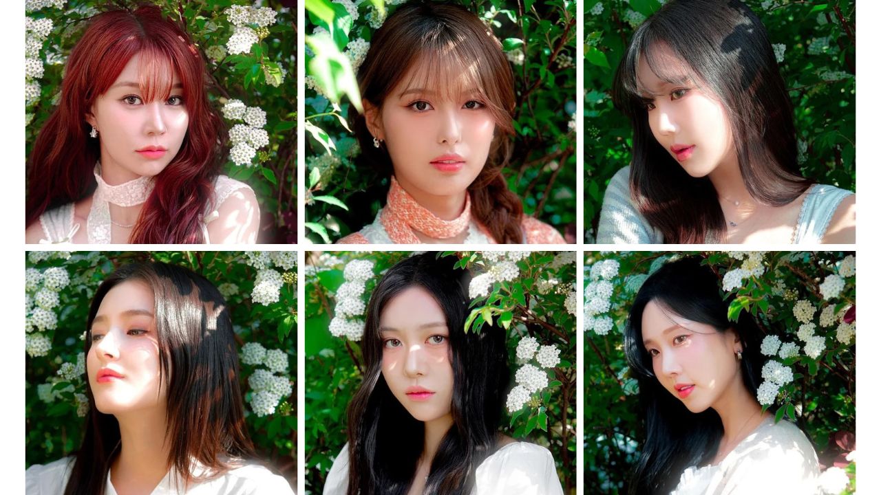 Momoland anuncia comeback sob o selo da Inyeon Entertainment - Korean ...